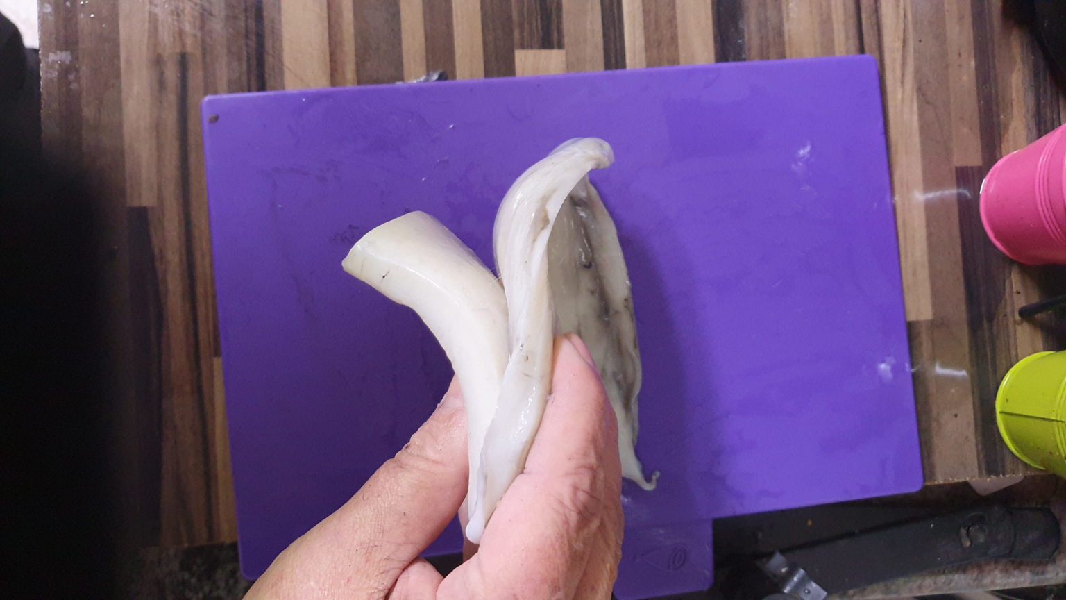 ¿Sabes diferenciar una sepia de una pota de un calamar? te enseñamos ...